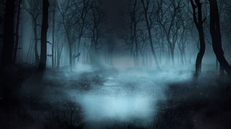 Dead by Daylight | マルチプレイアクションのサバイバルホラーゲーム | Dead by Daylight